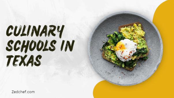 23 Best Culinary Schools In Texas - Zed Chef