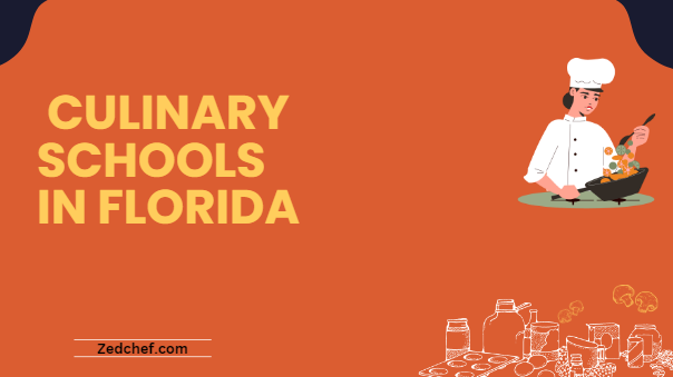 Culinary Schools - Zed Chef