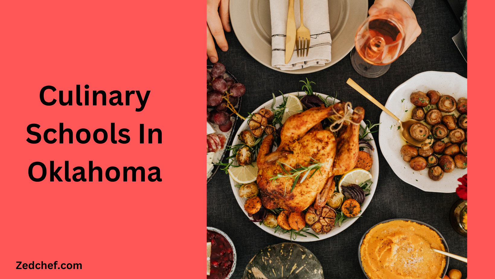 Culinary Schools - Zed Chef